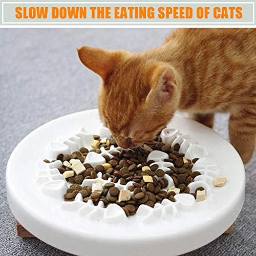 Slow Feeder Cat Bowl,Cat Puzzle Feeder Ceramic Dish with Fish Bone Design,Fun Interactive Slow Down The Eating Speed of Pets,Against Bloat,Indigestion