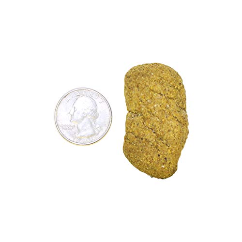 Monkey Biscuits (Standard, 9 lb.) - Healthy & Crunchy Biscuit Treat for Prairie Dogs, Parrots, Squirrels, Sugar Gliders, Hamsters, Rats, Rodents, Amazons, Macaws, Cockatoos, Birds & Other Small Pets