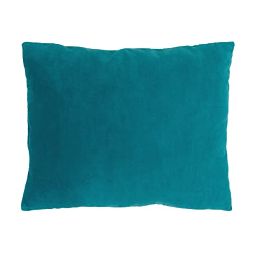 Warner Brothers Space Jam Blue, Orange and Teal Looney Tunes Super Soft Decorative Throw Pillow