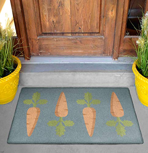 Brumlow MILLS Spring Carrots Easter Print Indoor or Outdoor Area Rug for Living Room, Bedroom Carpet, Dining, Kitchen or Entryway Rug, 30" x 46"