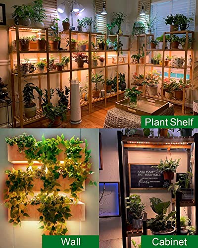 DOMMIA Grow Lights for Indoor Plants, 20W Full Spectrum LED Grow Light with Auto ON & Off Timer, 132 LEDs Sunlike Plant Light for Hydroponics, Succulents & More, Easy to Assemble（2Pcs）