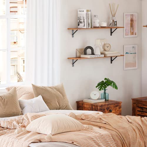 DINZI LVJ Wall Shelves, 23.6 x 7.9 x 6.0 Inch Floating Shelves for Wall, Set of 2, Easy-to-Install Wall Storage Ledges with Sturdy Metal Brackets for Living Room, Bathroom, Kitchen, Rustic Brown