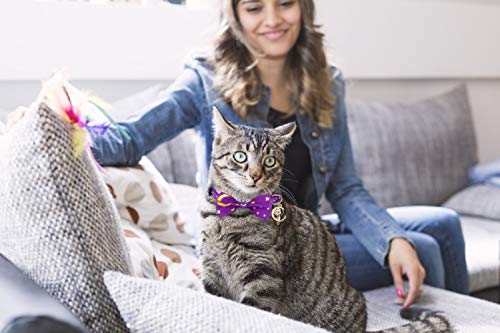 2 PCS Breakaway Cat Collar with Bow Tie and Bell Golden Moon Glowing Star in The Dark for Kitten(Black&Purple)