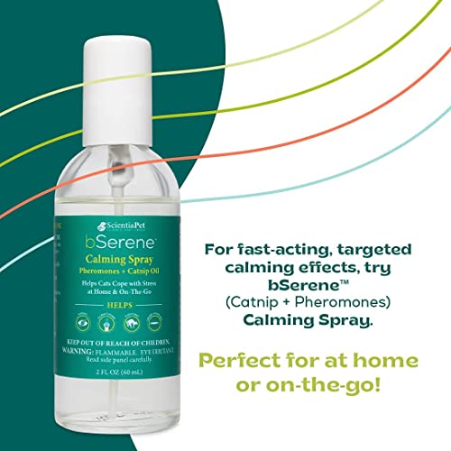 bSerene Pheromone Calming Solution for Cats|45-Day Starter Kit: Plug-in Diffuser + Refill |Helps Reduce Hiding, Scratching, Stress, Anxiety | for Single/Multicat Homes|45 Days of Constant Comfort