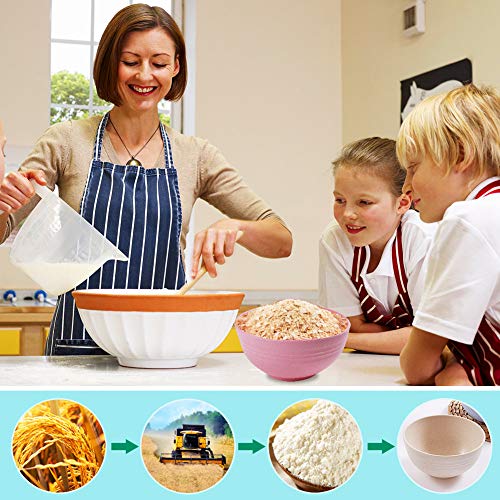 TAO CICADA Cereal Bowls - Set of 4 Wheat Straw Fiber Bowls,Unbreakable & Lightweight for Snacks, Rice, Condiments, Side Dishes, or Ice Cream, Dishwasher & Microwave Safe