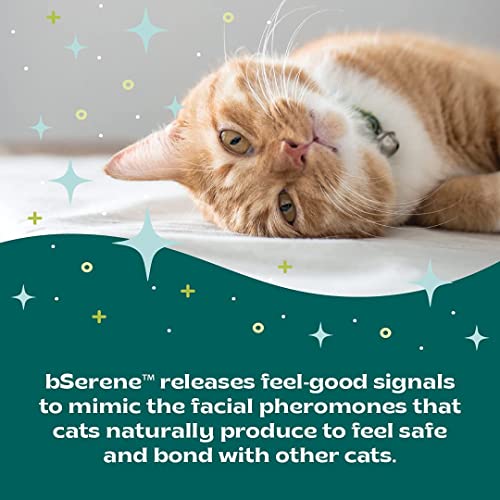 bSerene Pheromone Calming Solution for Cats|45-Day Starter Kit: Plug-in Diffuser + Refill |Helps Reduce Hiding, Scratching, Stress, Anxiety | for Single/Multicat Homes|45 Days of Constant Comfort