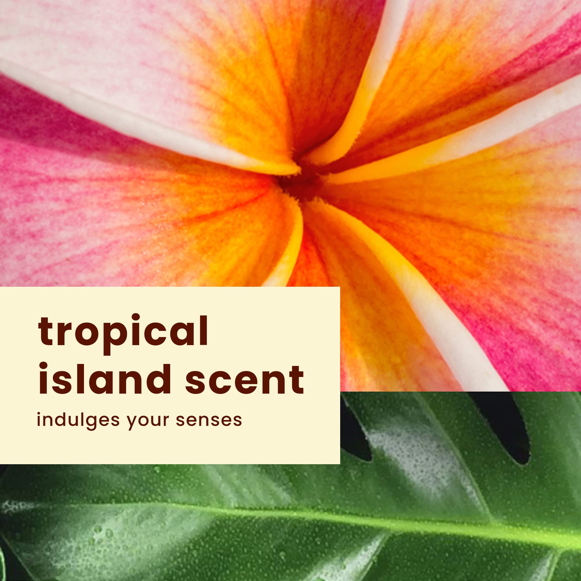Hawaiian Tropic Everyday Active Lotion Sunscreen SPF 30, 8oz Twin Pack | Hawaiian Tropic Sunscreen SPF 30, Sunblock, Oxybenzone Free Sunscreen, Broad Spectrum Sunscreen Pack, 8oz each