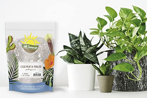Coco Peat Perlite Potting Mix (2 Quarts), Loose Coconut Coir and Perlite
