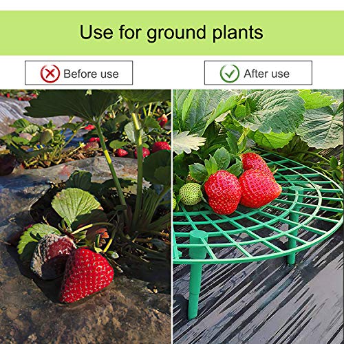 ANGTUO 10 Pack Strawberry Supports for Garden Strawberry Plant Support Strawberry Stand Holder Strawberry Racks Growing Frame