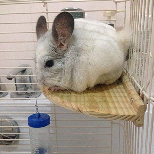 Hamiledyi 5Pcs Hamster Wooden Stand Platform Rat (L/Fan/Circular - Shaped) Activity Springboard Small Animal Natural Cage Corner Accessories for Birds, Parrot, Mouse, Gerbil to Play