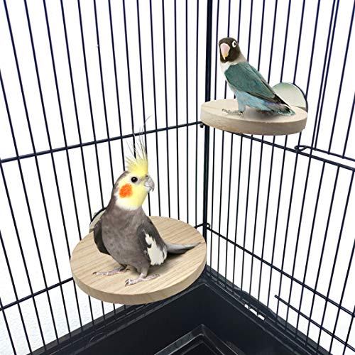 Hamiledyi 5Pcs Hamster Wooden Stand Platform Rat (L/Fan/Circular - Shaped) Activity Springboard Small Animal Natural Cage Corner Accessories for Birds, Parrot, Mouse, Gerbil to Play