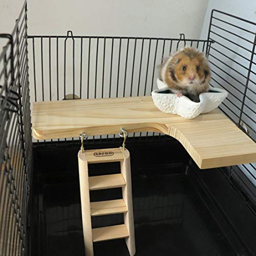 Hamiledyi 5Pcs Hamster Wooden Stand Platform Rat (L/Fan/Circular - Shaped) Activity Springboard Small Animal Natural Cage Corner Accessories for Birds, Parrot, Mouse, Gerbil to Play