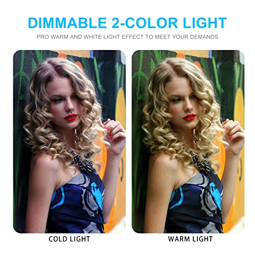 ZKEEZM Light Box Photography 16"x16" with 160LED Lights and 6 Color Backdrops, Photo Box with Lights | Foldable Photo Studio with Adjustable Brightness, 3000-6500K Bi-Color Portable Light Box Shooting