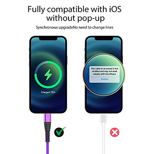 USB C to Lightning Cable(2pack 10ft)-Oliomp (Apple MFi Certified) iPhone Charger Nylon Braided Lightning Cables for iPhone 13/13ProMax/13Mini/12/11 Pro Max/XS/XR/X/8/7/6S/6Plus/5S(Purple and Gray)