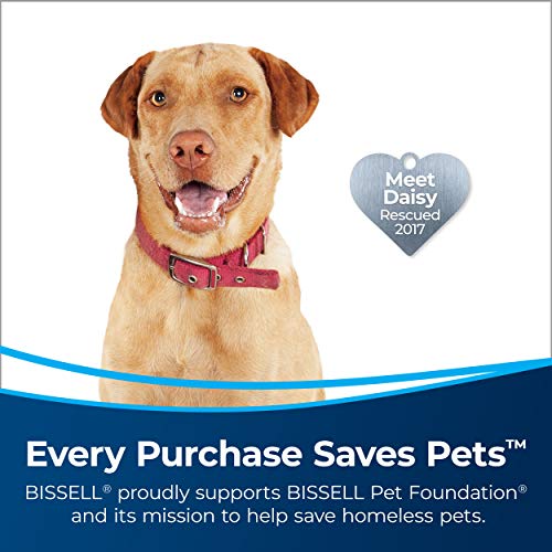 BISSELL MultiClean Allergen Pet Slim Upright Vacuum with HEPA Filter Sealed System, 31269