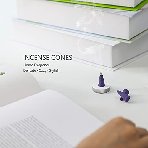 Incense Cones, Assorted Scented Incense Cones with Holder, Incense Gift Set for Mothers Day, Rose, Sage, Lavender, Violet, Cinnamon, Eucalyptus, Sandalwood, Rain Forest, 120 Cones Total