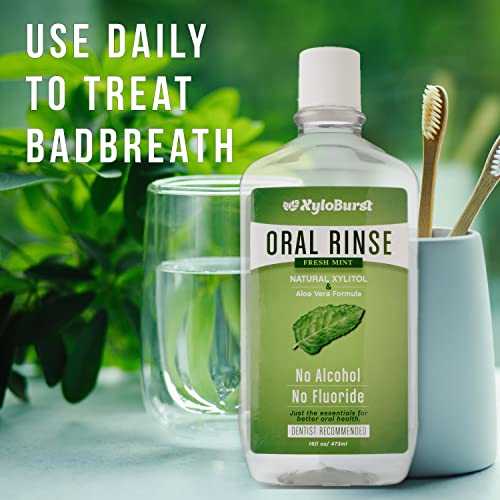 XyloBurst Fresh Breath Oral Rinse Mouth Wash with Natural Xylitol - Alcohol-Free, Fluoride Free, SLS Free Cool Mint (3 Pack 16 Ounce)