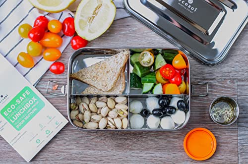ecozoi Stainless Steel Eco Lunch Box, Leak Proof, 4 Compartment | Sustainable Zero Waste Eco Friendly Bento Box Food Storage Container