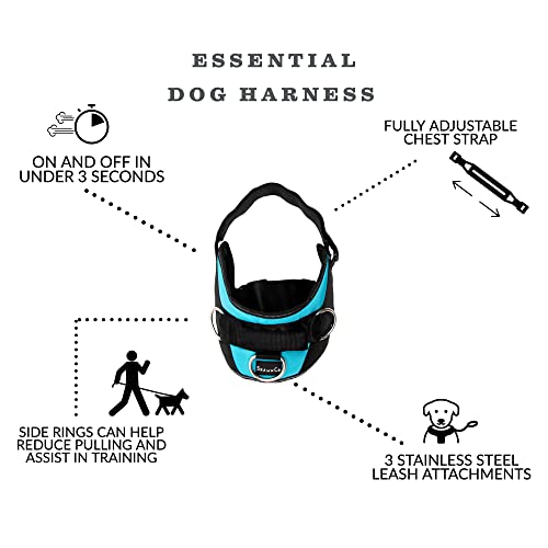 ShawnCo Essential Dog Harness, No-Pull Pet Vest with 3 Leash Clips, No Choke, Reflective, Adjustable and Padded, for Easy Walking and Training for Small, Medium and Large Dogs (Oceanic Blue, Medium)
