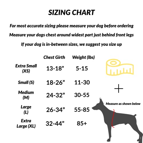 ShawnCo Essential Dog Harness, No-Pull Pet Vest with 3 Leash Clips, No Choke, Reflective, Adjustable and Padded, for Easy Walking and Training for Small, Medium and Large Dogs (Oceanic Blue, Medium)