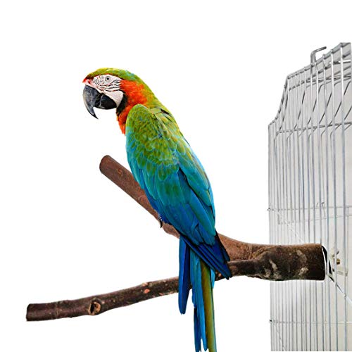 kathson Natural Bird Wood Perch Parakeet Standing Toy Sticks Parrot Paw Grinding Branches Cockatiels Cage Chewable Accessories for Conures Macaws Finches 8 PCS
