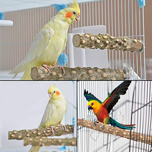 kathson Natural Bird Wood Perch Parakeet Standing Toy Sticks Parrot Paw Grinding Branches Cockatiels Cage Chewable Accessories for Conures Macaws Finches 8 PCS