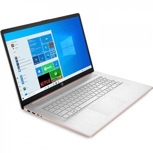 HP 17 Series 17.3" Laptop AMD Athlon Silver 3050U 4GB RAM 256GB SSD Pale Rose Gold - AMD Athlon Silver 3050U Dual-core - 1600 x 900 HD+ Resolution - AMD Radeon Graphics - Windows 10 Home in S Mod