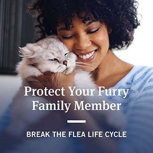 PetArmor Advanced 2 Flea Prevention for Large Cats, 6 Month Supply