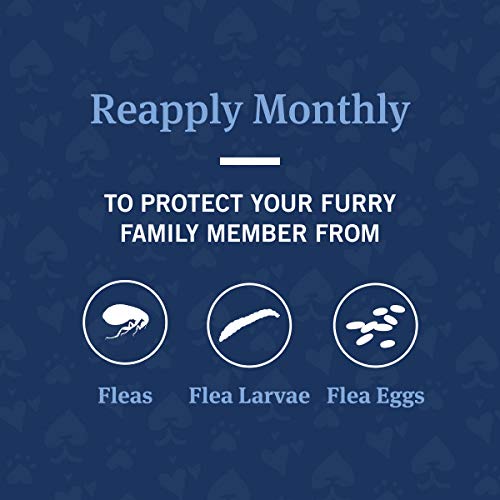 PetArmor Advanced 2 Flea Prevention for Large Cats, 6 Month Supply