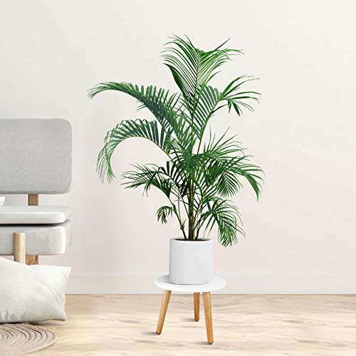 Uneedem Indoor Plant Stand Wood Mid Century Plant Stand for Indoor Plants, Modern Plant Table, 8.9" Tall Plant Holder for Flower Pots, Small Round Side Table, End Table