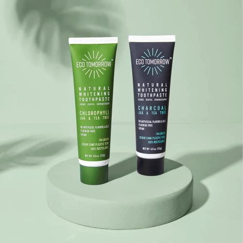 EcoTomorrow Charcoal Whitening Toothpaste - Natural Juá & Tea Tree, Fluoride Free, Plant Based with Peppermint Essential Oil - 4.0oz (Pack of 3)