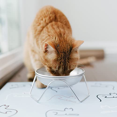 Raised Cat Bowl Stand for Food & Water by Americat β Made in USA β Stainless Steel, Spill-Proof Elevated Feeder, Dishwasher Safe, Human Grade, Whisker Friendly (Bowl + Stand)