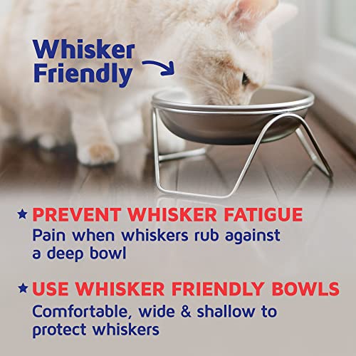 Raised Cat Bowl Stand for Food & Water by Americat β Made in USA β Stainless Steel, Spill-Proof Elevated Feeder, Dishwasher Safe, Human Grade, Whisker Friendly (Bowl + Stand)