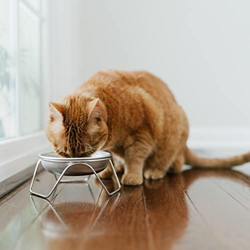 Raised Cat Bowl Stand for Food & Water by Americat β Made in USA β Stainless Steel, Spill-Proof Elevated Feeder, Dishwasher Safe, Human Grade, Whisker Friendly (Bowl + Stand)