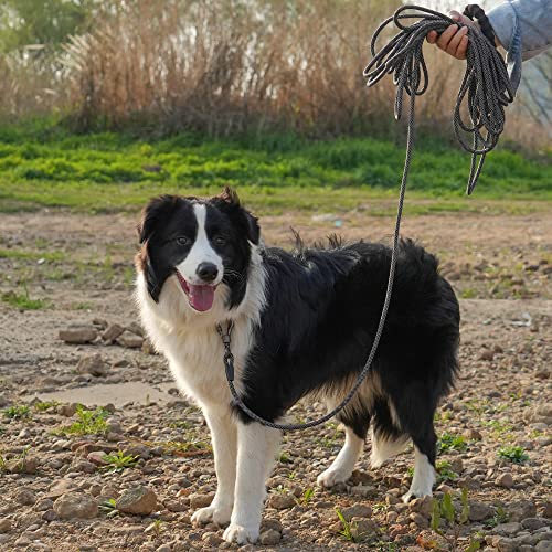 NTR 15FT Training Leash for Dogs, Nylon Rope Dog Leash with Swivel Lockable Hook and Comfortable Padded Handle, Cat Puppy Leash Lead for Small Medium Large Dogs Training, Playing, Camping, or Backyard