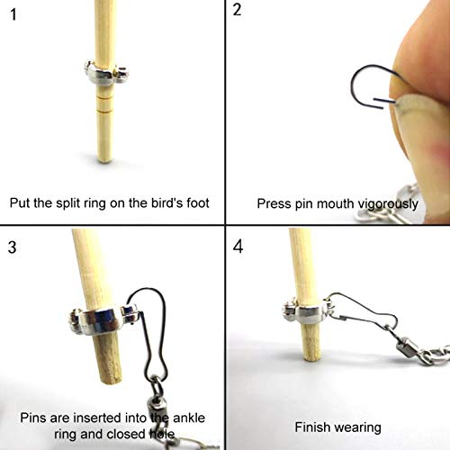 Parrot Bird Harness Leash Anti-bite Outdoor Flying Training Rope Pet Supplies for Macaw African Greys Parakeet Cockatoo Cockatiel Lovebird
