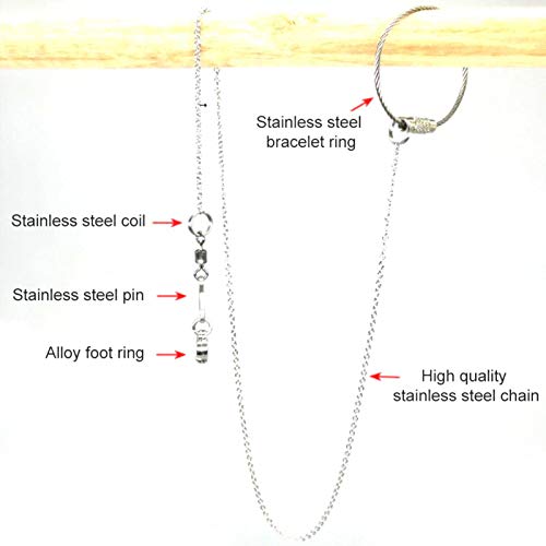 Parrot Bird Harness Leash Anti-bite Outdoor Flying Training Rope Pet Supplies for Macaw African Greys Parakeet Cockatoo Cockatiel Lovebird