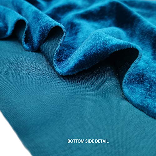 Mirco Velvet Fabric for Costumes and Crafting 61 Inches Width by The Yard Entelare(Black 1Yard)