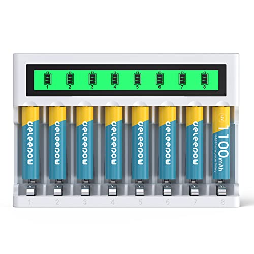 Deleepow 1.2V Rechargeable AAA Batteries 1100mAh Nimh AAA Rechargeable Batteries 8-Pack Gold-Plated Anode with USB-C and Micro USB 2 Charge Port LCD Charger