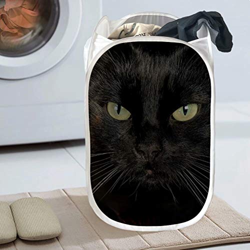 AFPANQZ Black Cat Eyes Design Strong Mesh Pop-up Laundry Hampers Large Laundry Baskets with Extra Pocket Easy to Open and Fold for Travel Save Place 61L Bathroom Laundry Room Black