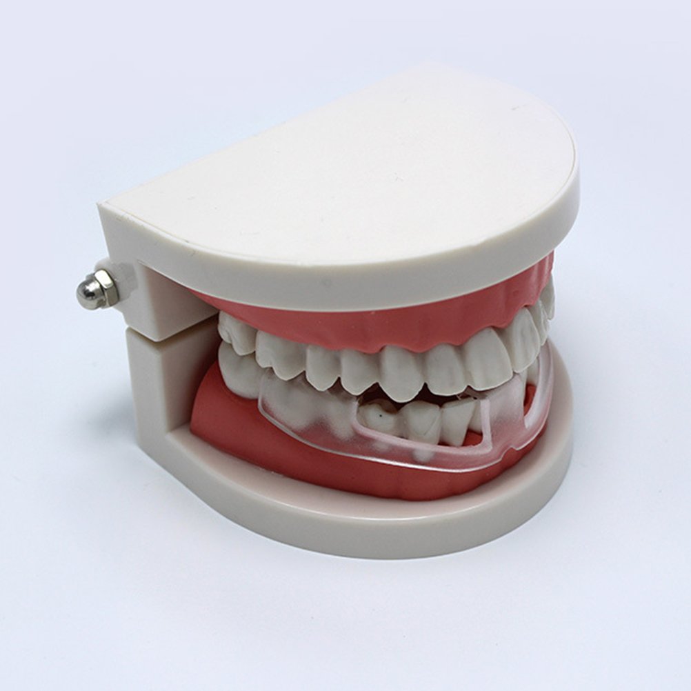 BESPORTBLE 3Pcs Dental Night Protector Dental No More Teeth Grinding Food Grade EVA Supplies for Kids (Transparent)