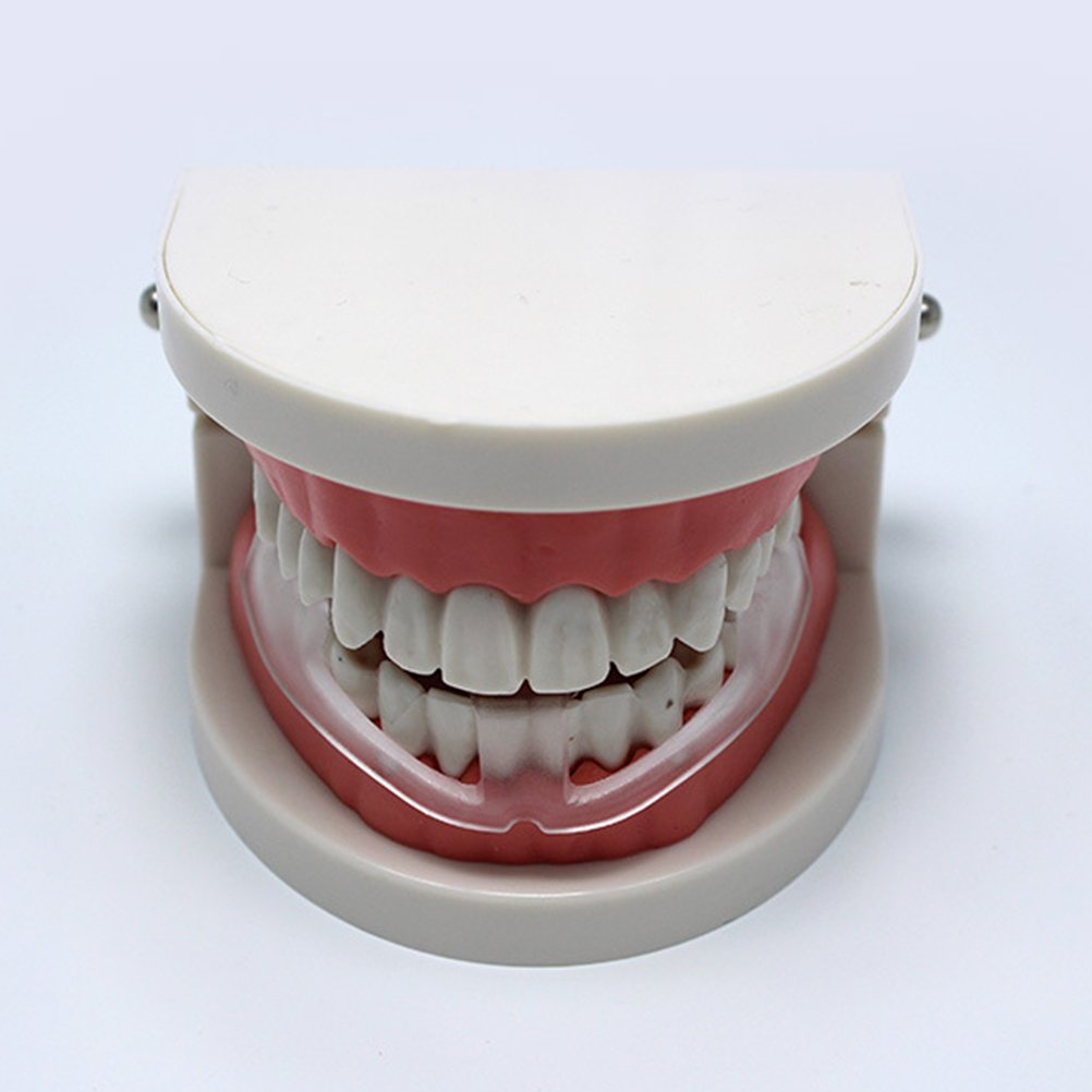 BESPORTBLE 3Pcs Dental Night Protector Dental No More Teeth Grinding Food Grade EVA Supplies for Kids (Transparent)