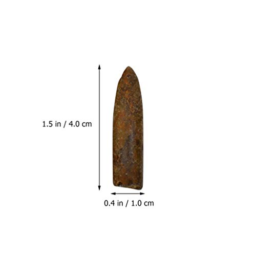 iplusmile 10pcs Paleontology Belemnite Fossil Specimen Science Ornament Laboratory Supply