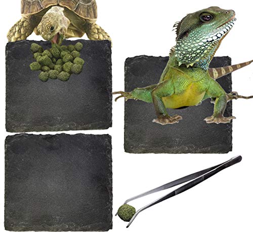 Reptile Basking Platform, Tortoise Feeding Dish, Rock Reptile Food Bowl with Feeding Tweezers Landscape Habitat Decor for Turtle Lizard Bearded Dragon Crested Gecko Snake (4 PCS)