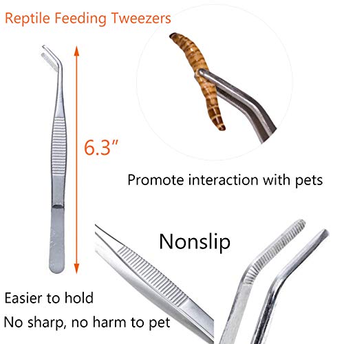 Reptile Basking Platform, Tortoise Feeding Dish, Rock Reptile Food Bowl with Feeding Tweezers Landscape Habitat Decor for Turtle Lizard Bearded Dragon Crested Gecko Snake (4 PCS)