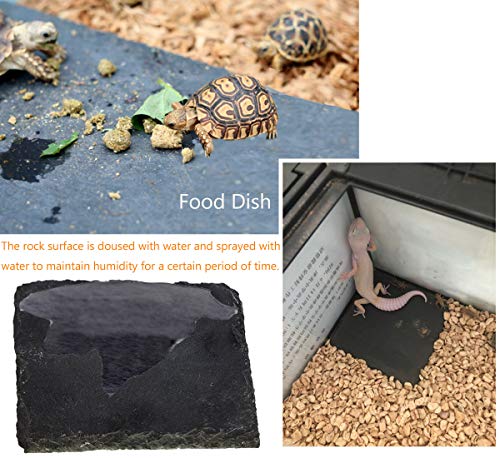 Reptile Basking Platform, Tortoise Feeding Dish, Rock Reptile Food Bowl with Feeding Tweezers Landscape Habitat Decor for Turtle Lizard Bearded Dragon Crested Gecko Snake (4 PCS)