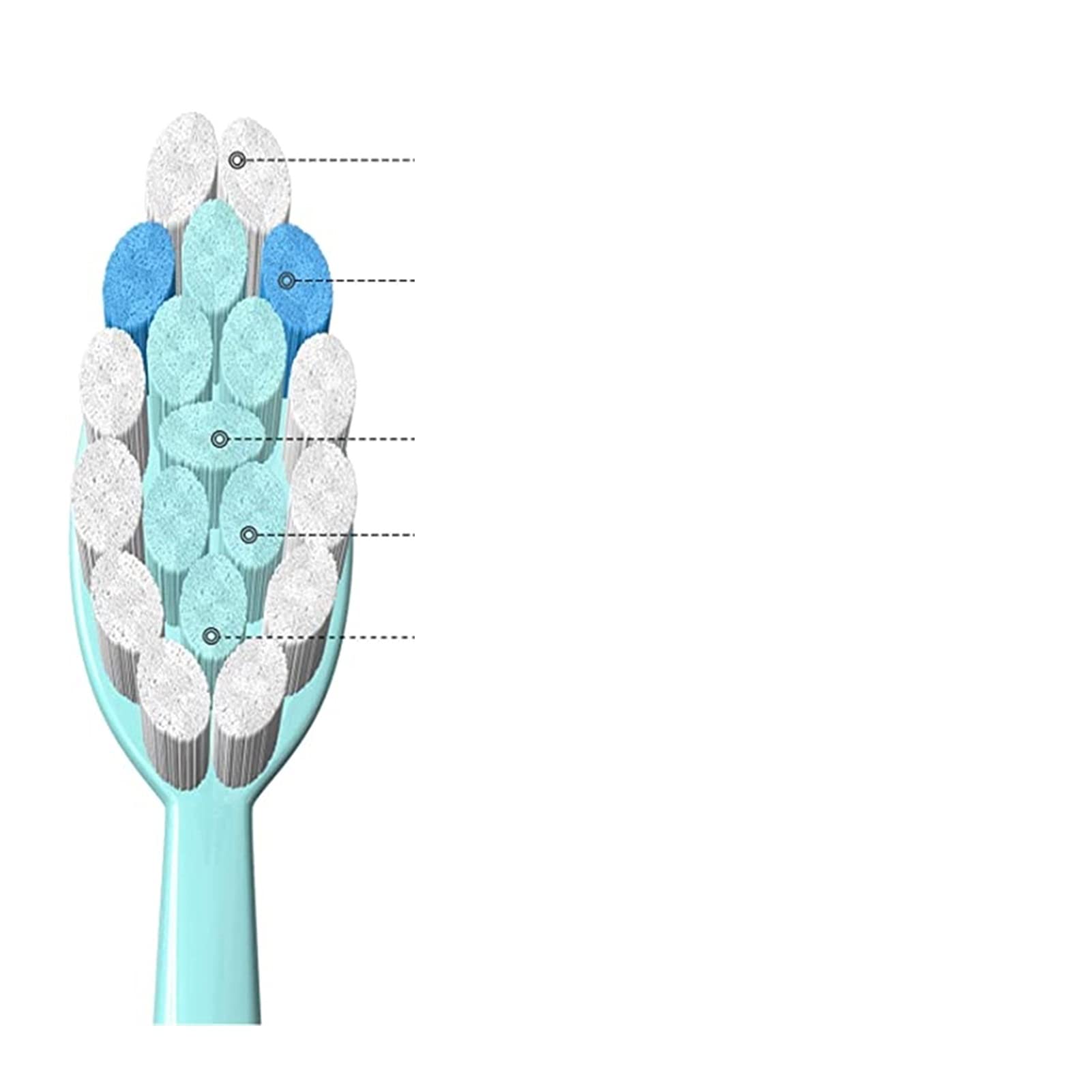 LIANGMEI Qingqing Store Replacement Brush Head Fit for Seago YUNCHI SG986 987 S2 S5 Y7 Sonic Electric Toothbrush Replaceable Soft Tooth Brush Bristles 4pcs