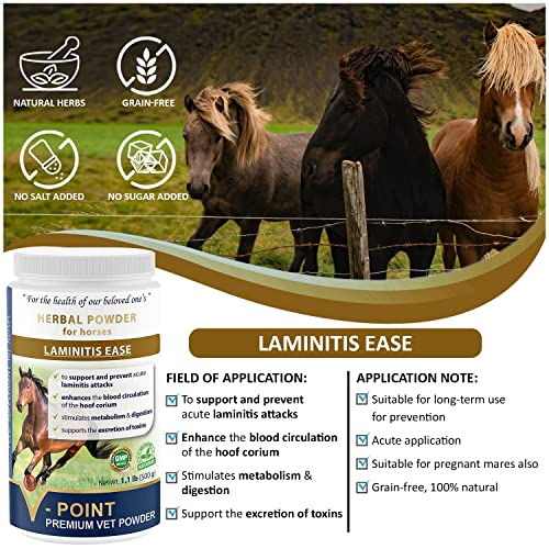 V-POINT - Laminitis Ease - Supports and Prevents Acute Laminitis Attacks, 100% Natural Herbal Powder for Horses (1.0 lb)