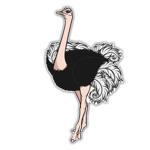 Ostrich - 3" Vinyl Sticker - for Car Laptop Water Bottle Phone - Waterproof Decal