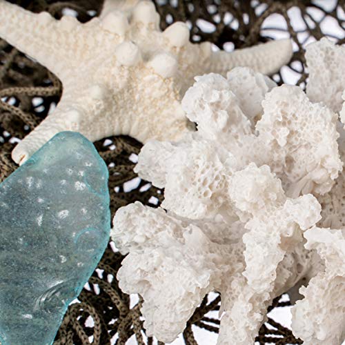 Nautical Crush Trading Decorative Sea Coral - 4in x 3.5in x 2.5in - Small White Coral for Beachy Decor - Perfect for Aquariums - Fish Tanks
